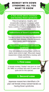 Monkeys with Down Syndrome: Unique Cases and Characteristics